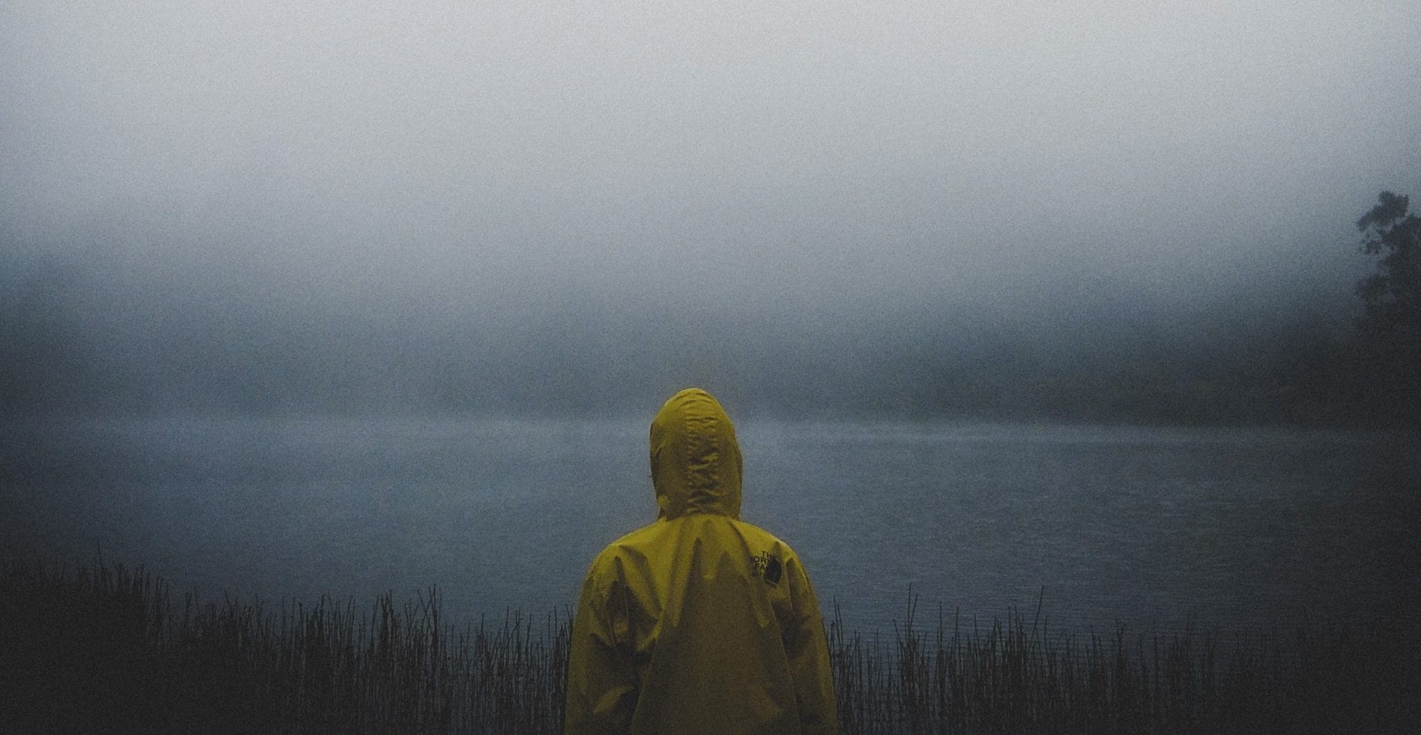 Resolve Photo | Large format fine art printing